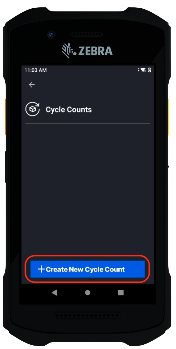 Mobile Cycle Counting – Flexe